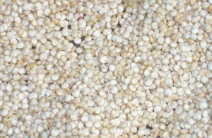 Quinoa, The sacred seed of the Incas | PERU DELIGHTS