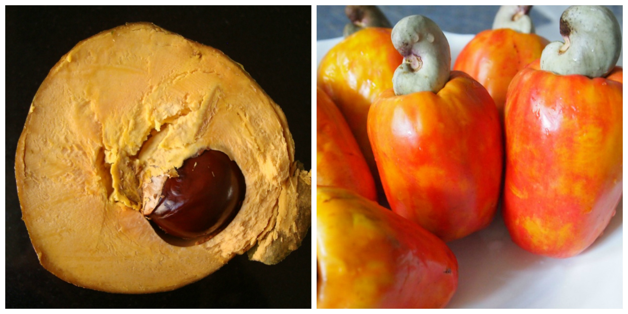 Cremoladas for fun, warm days | PERU DELIGHTS